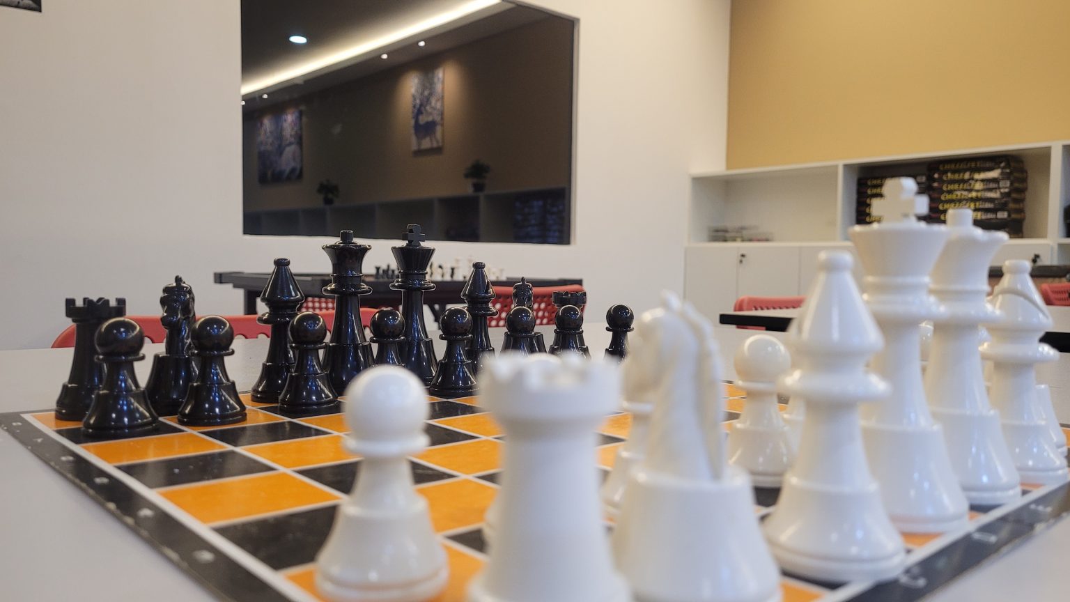 🌟 MINDRICH INFO DAY 2024 🌟 – MINDRICH